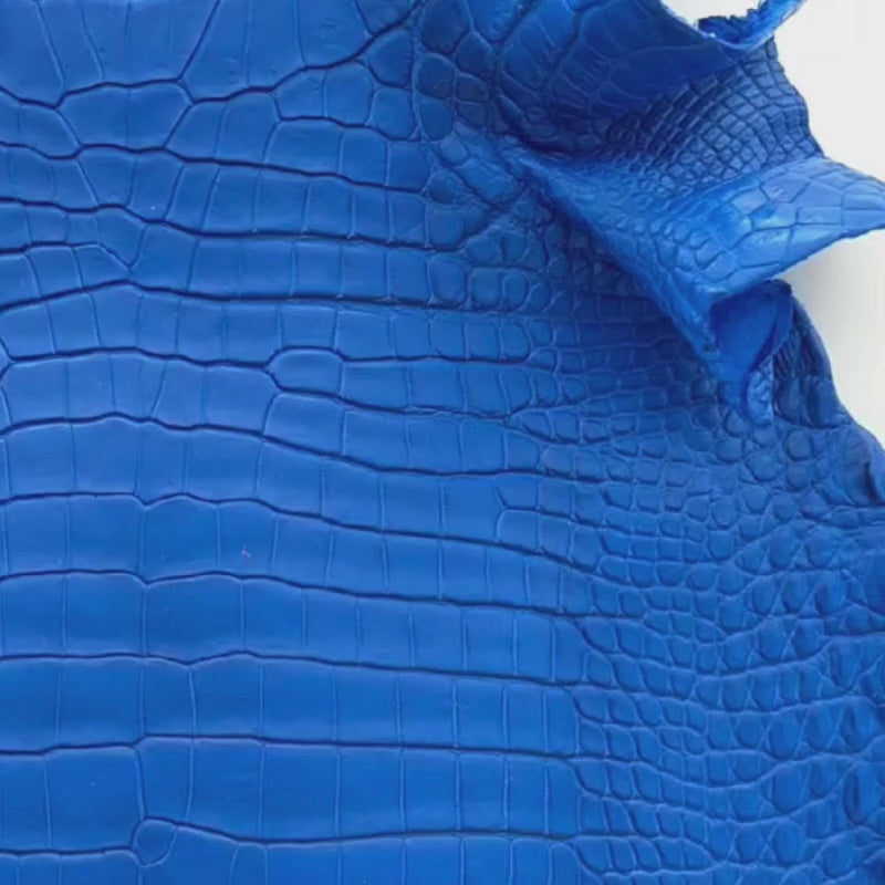 Sunny Exotic Leather Tannery - Luxury Crocodile, Python & Lizard Skins ...