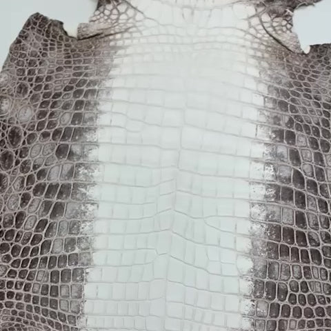 Sunny Exotic Leather Tannery - Luxury Crocodile, Python & Lizard Skins ...