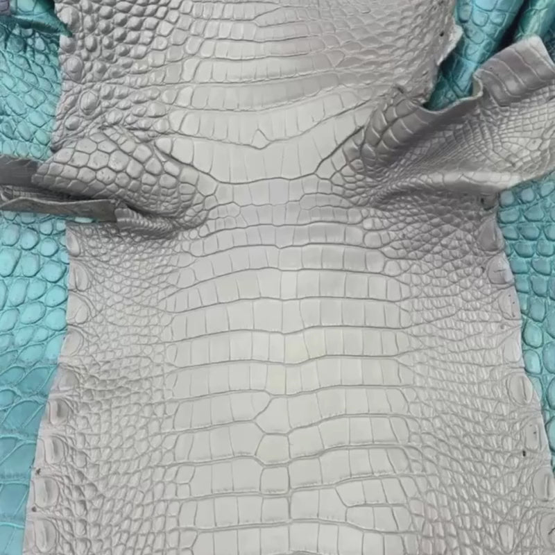 Alligator Skin: All You Need to Know – Sunny Exotic Leather Tannery